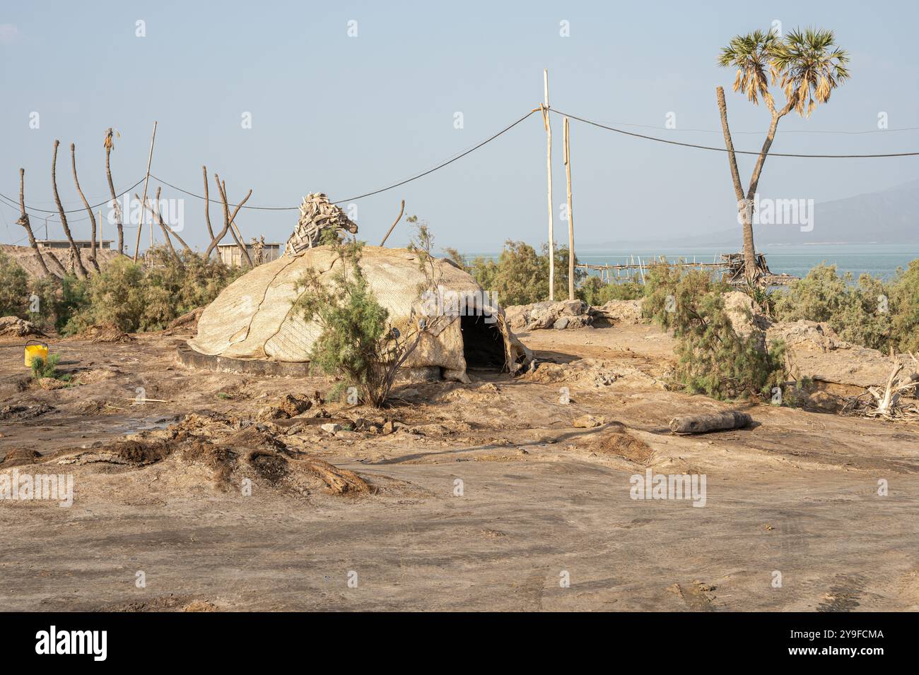 Afar homestead, Lake Afrera, Danakil desert fringe, Ethiopia Stock ...