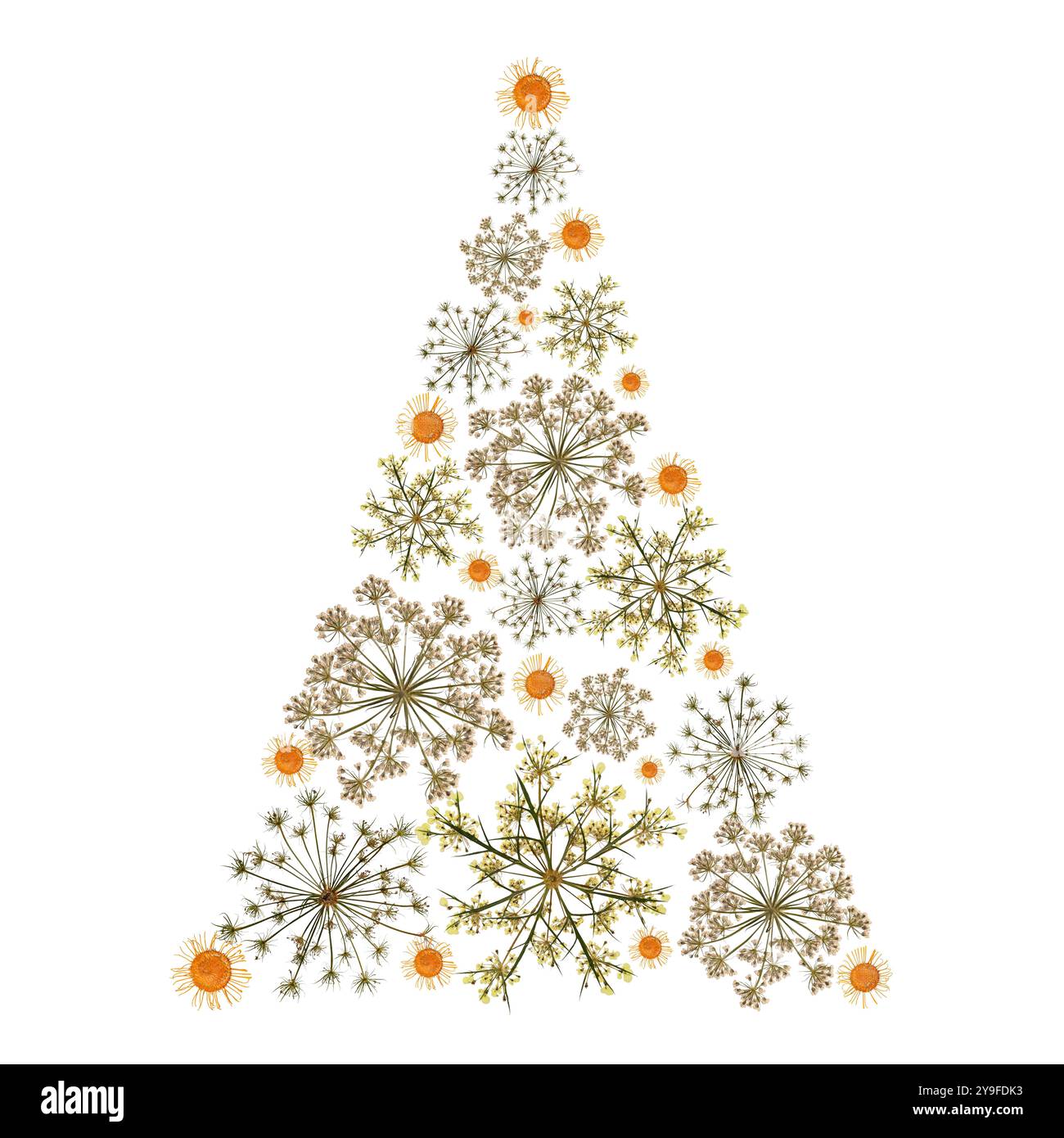 Christmas floral arrangement hi-res stock photography and images - Alamy