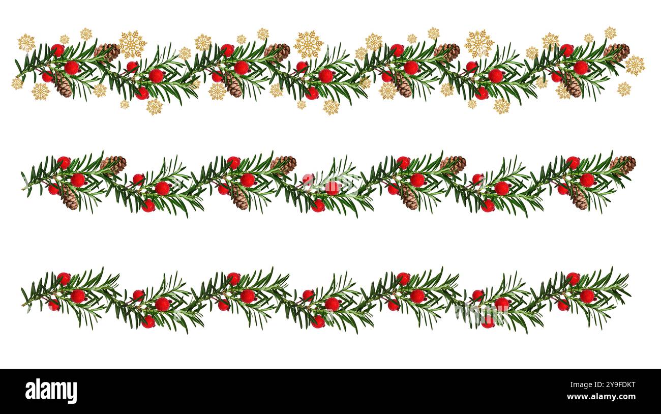 Horizontal border pine branches Cut Out Stock Images & Pictures - Alamy