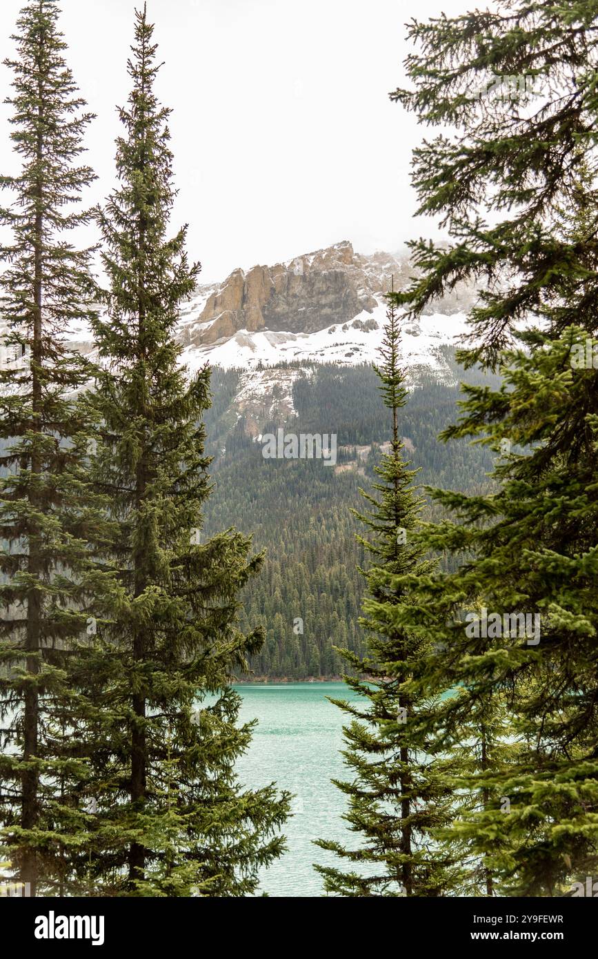 Stunning nature scenes at Emerald Lake, Yoho National Park during ...