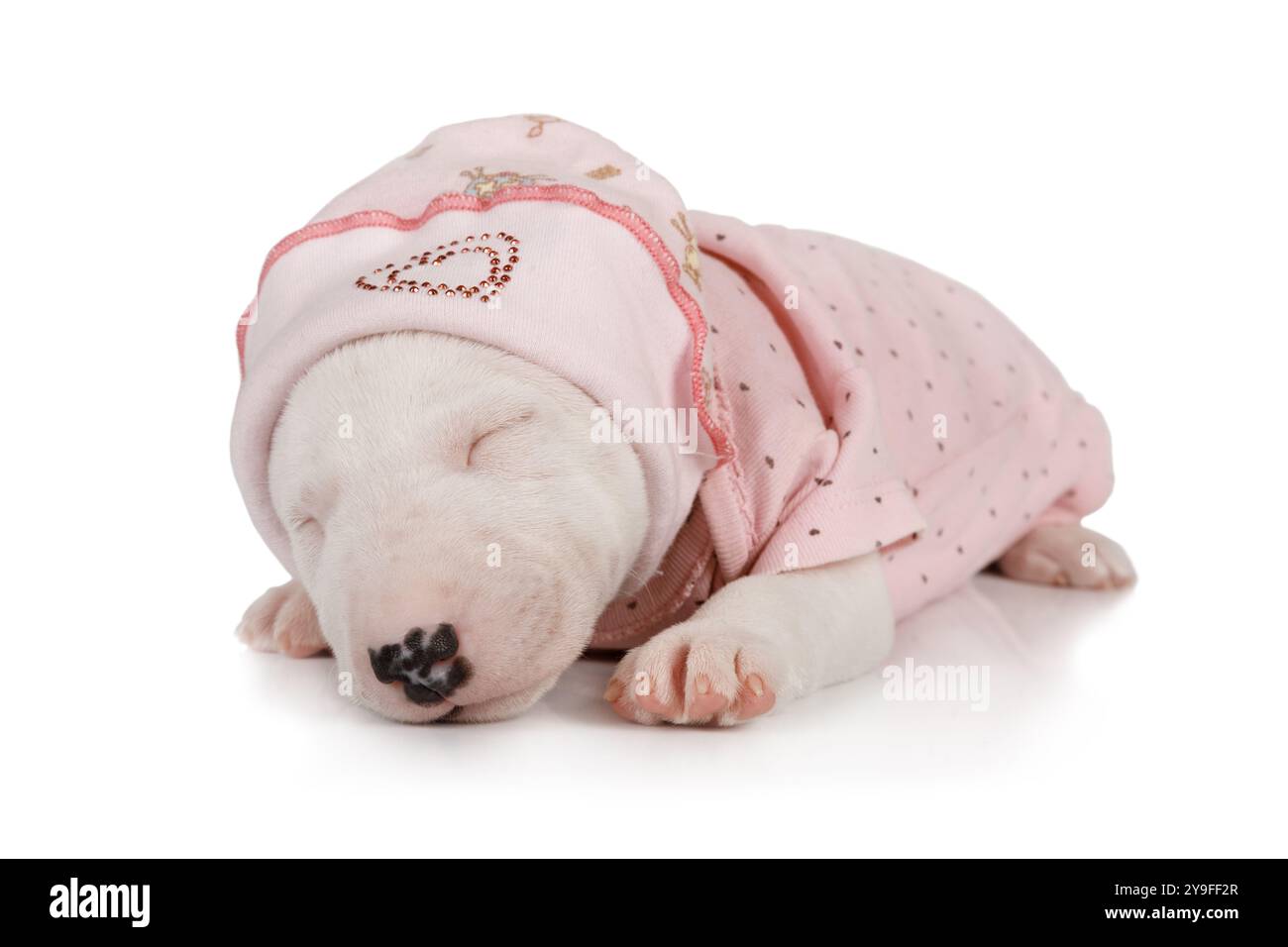 Mini cot hi-res stock photography and images - Alamy