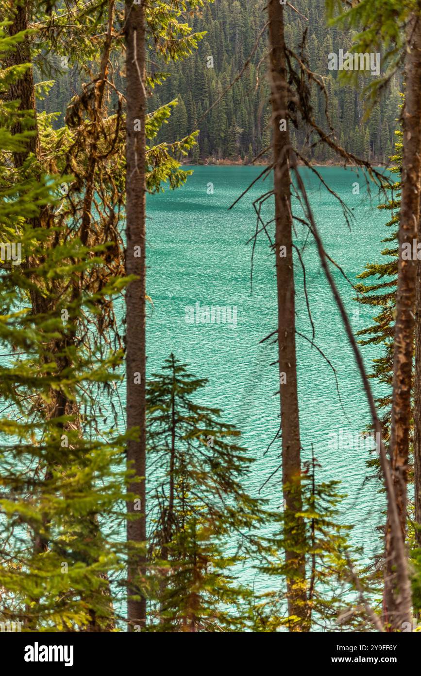 Stunning nature scenes at Emerald Lake, Yoho National Park during ...