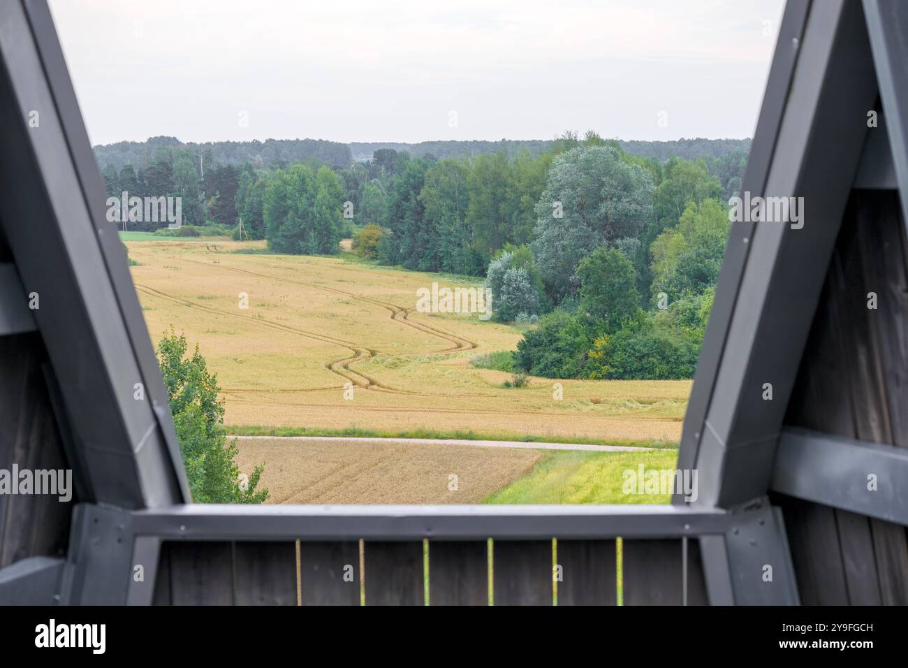view of nature from the window of the observation tower Stock Photo - Alamy