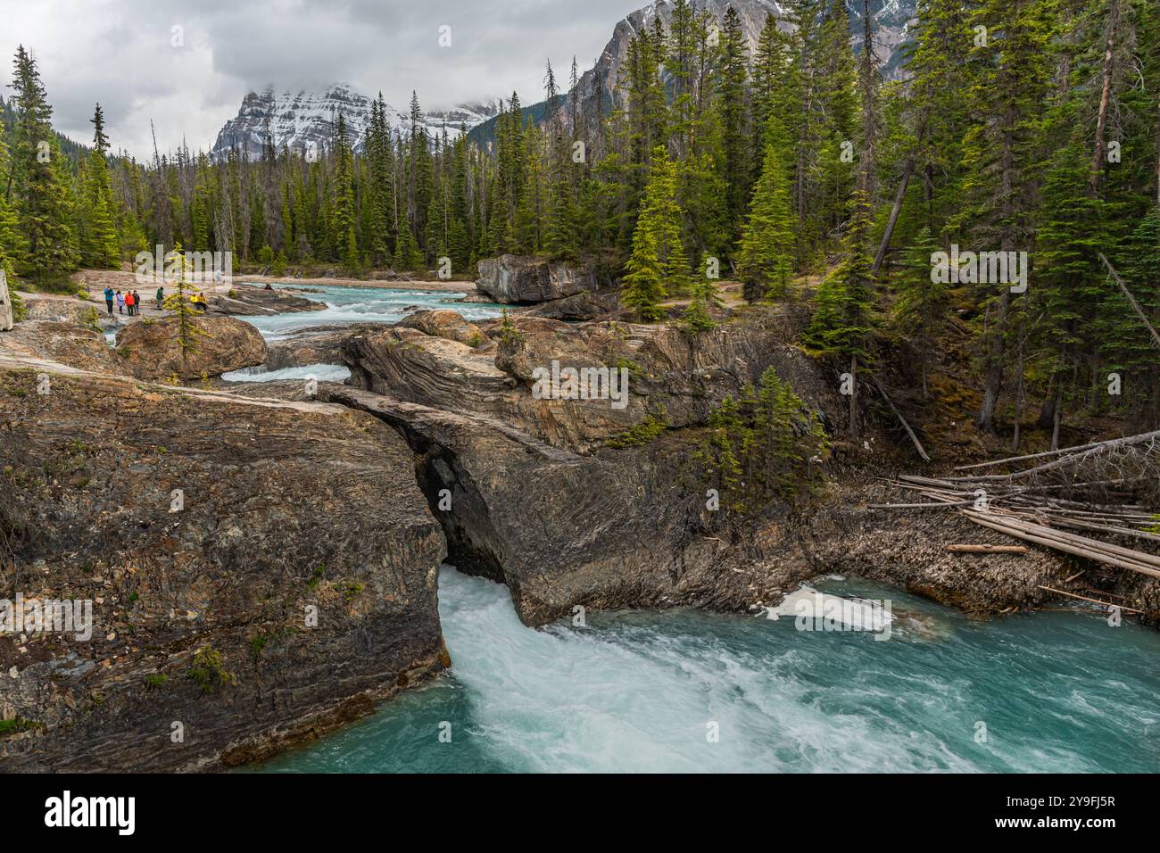 Stunning Natural Bridge in Yoho National Park during spring time with ...