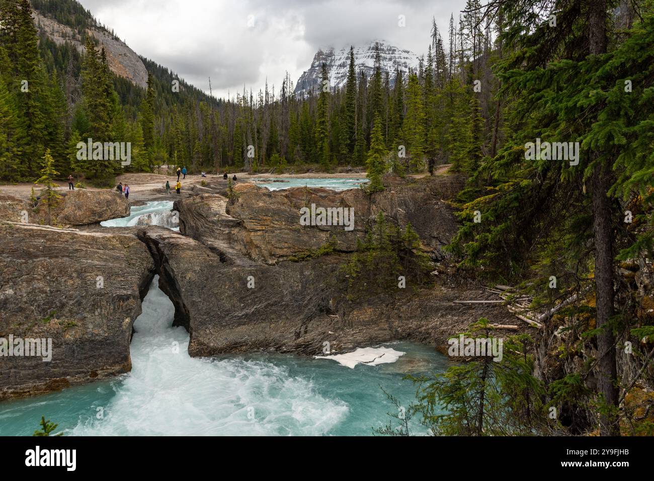 Stunning Natural Bridge in Yoho National Park during spring time with ...