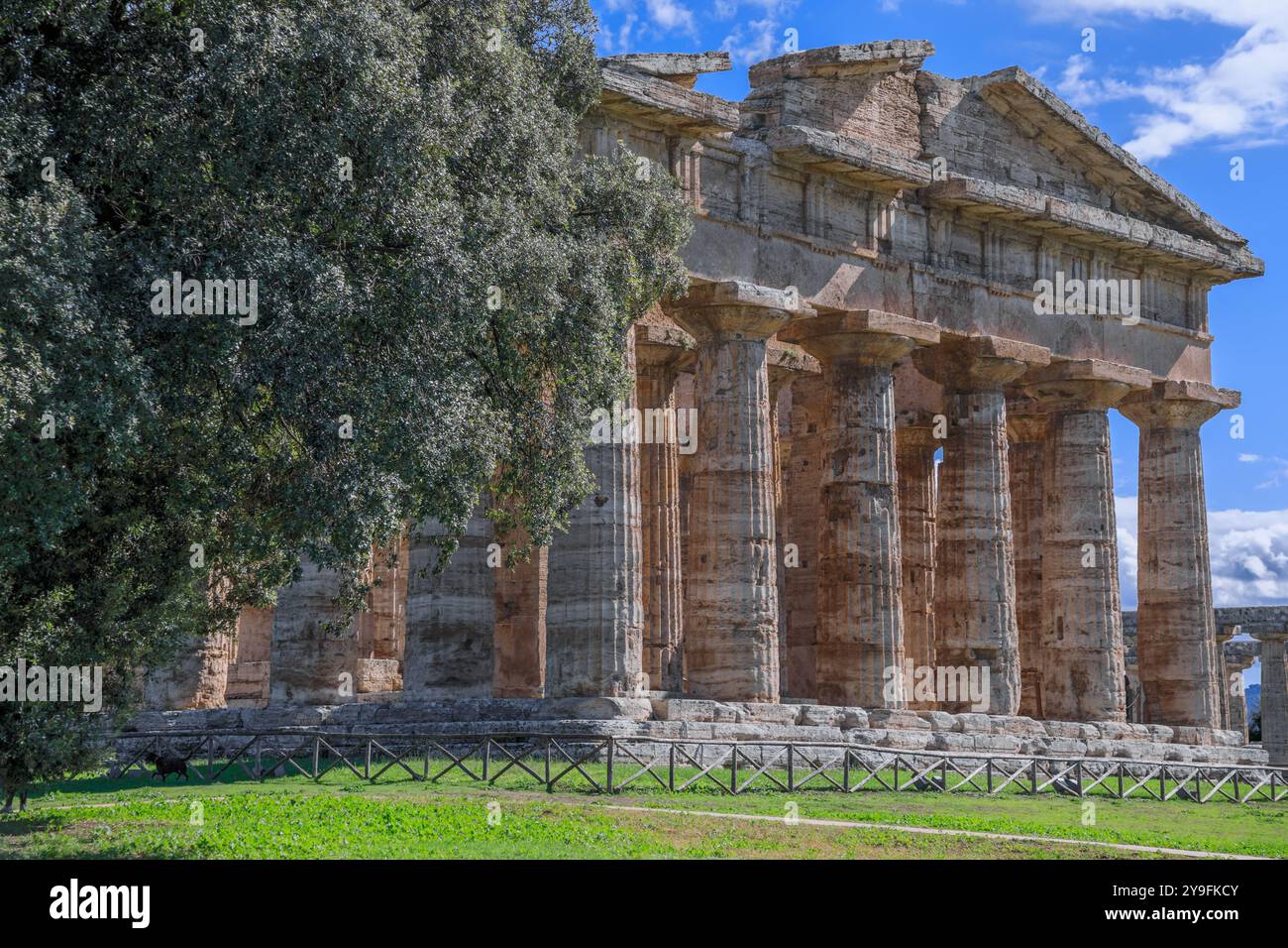 Temple of Neptune at Paestum in Italy: detail of the Doric columns ...