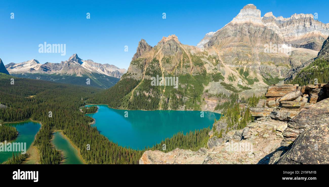 Staggering mountain scenes at Lake O'Hara during summer time with ...