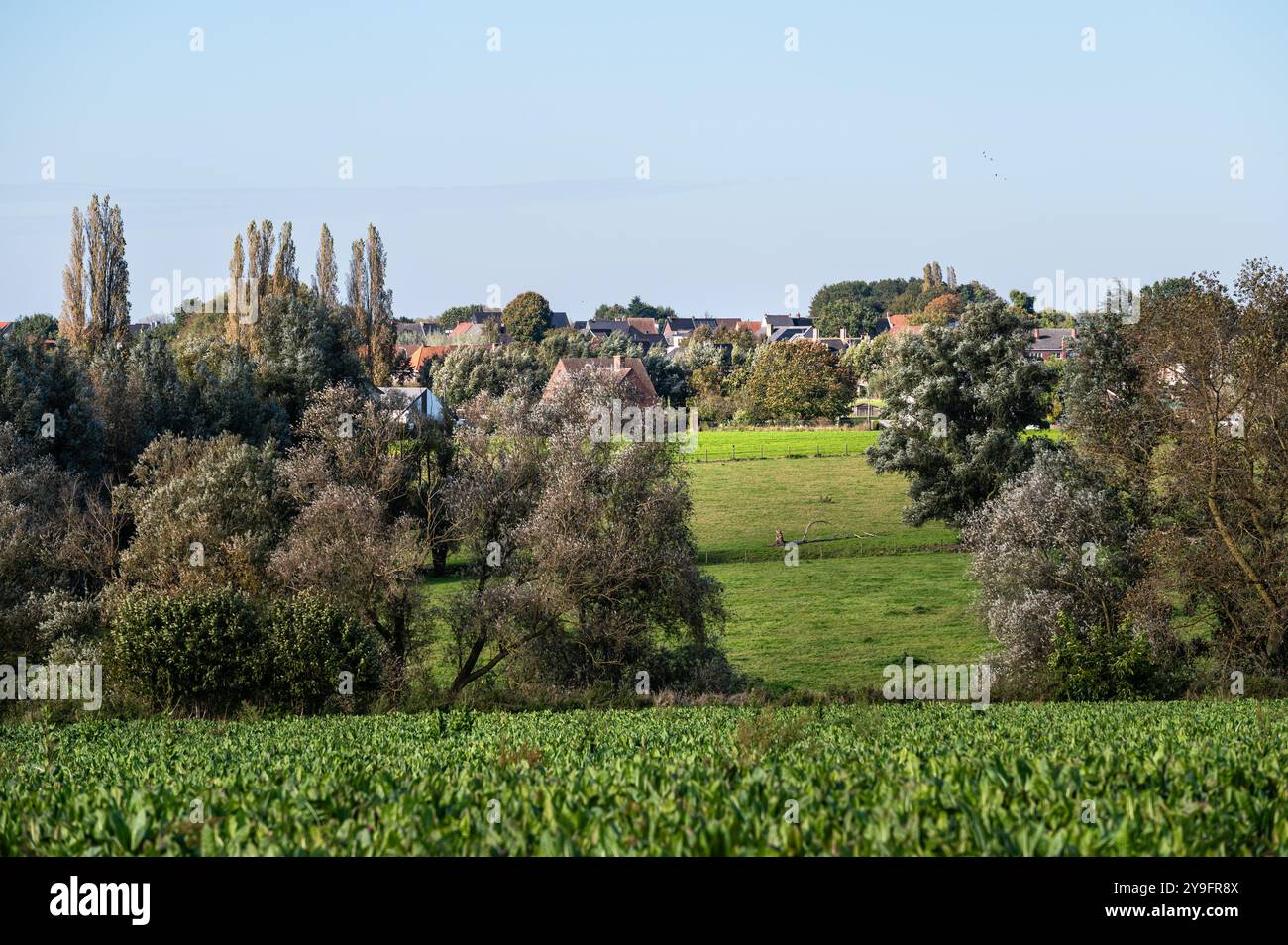 Green beet fields and hills of farmland in Zottegem, East Flemish ...