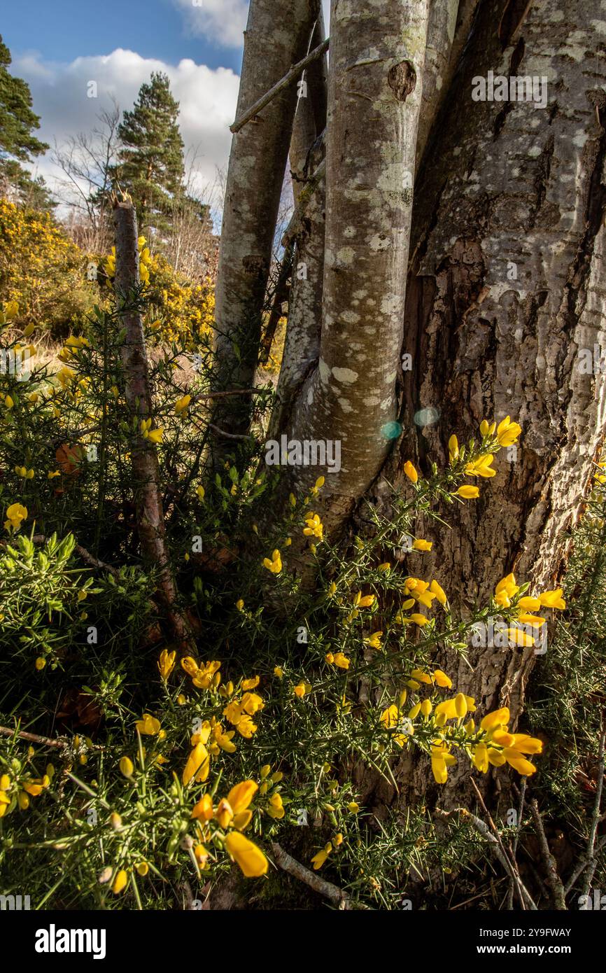 Boroughof hi-res stock photography and images - Alamy