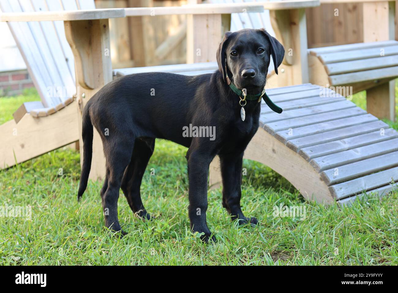 Adirondack_chairs hi-res stock photography and images - Alamy