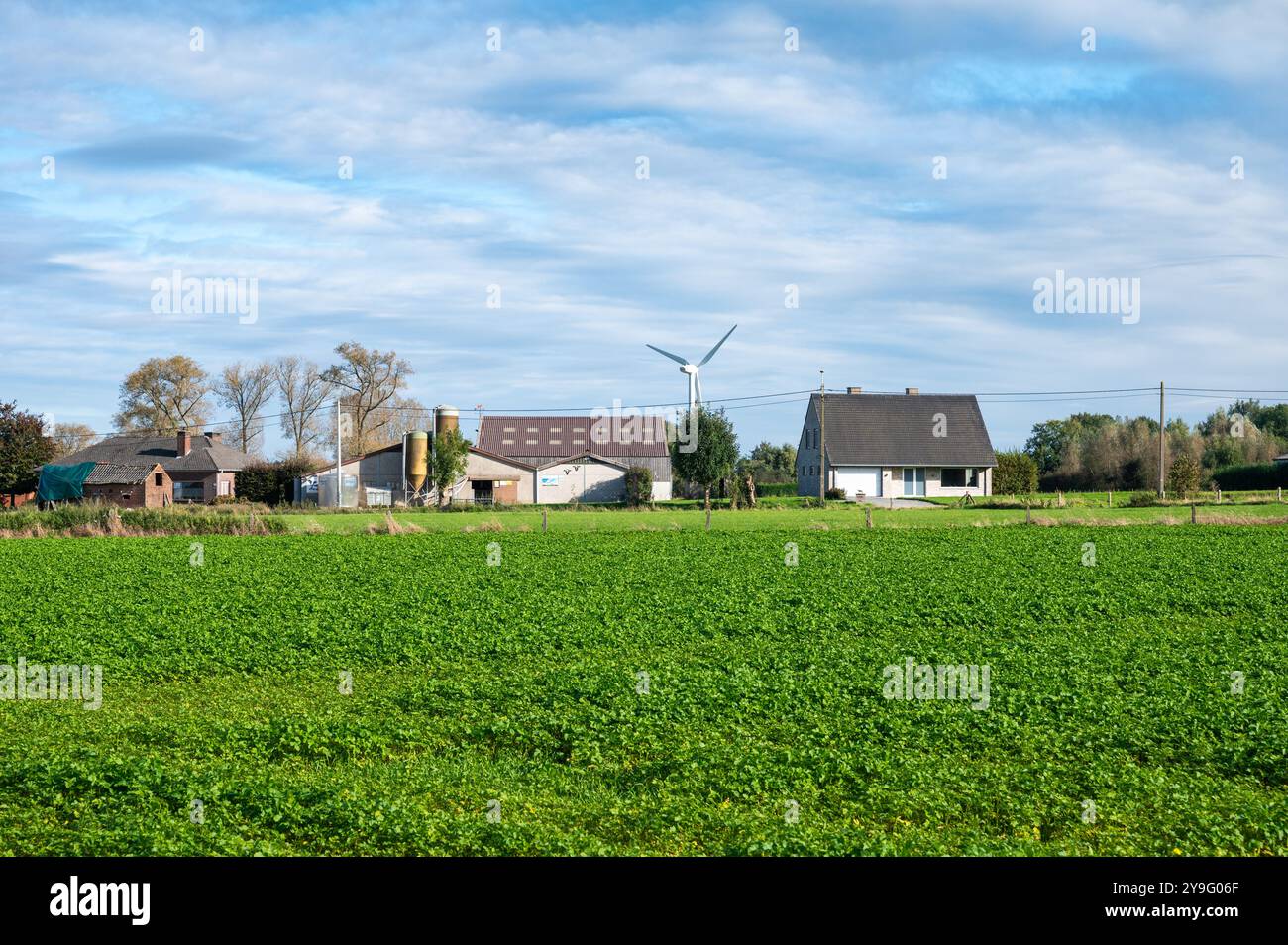 Green farmland, houses and a windmill at the Flemish countryside in ...