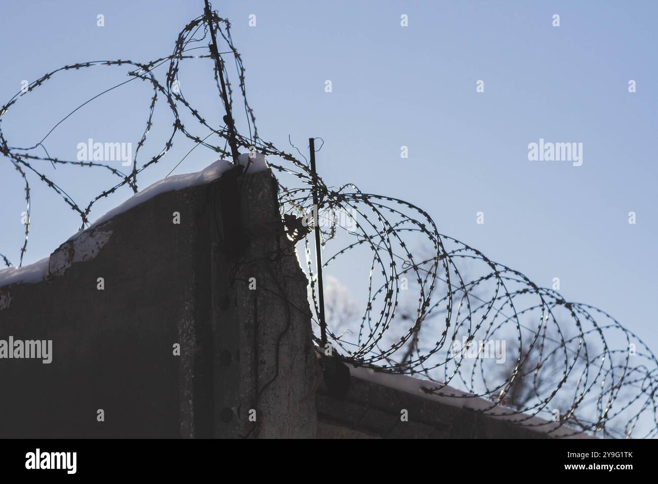 Barbed wire on the prison fence. A closed prison. Security concept ...