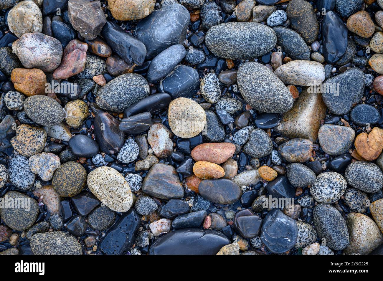 Rocks on the beach at Campo 1 in San Felipe, Baja California, Mexico ...
