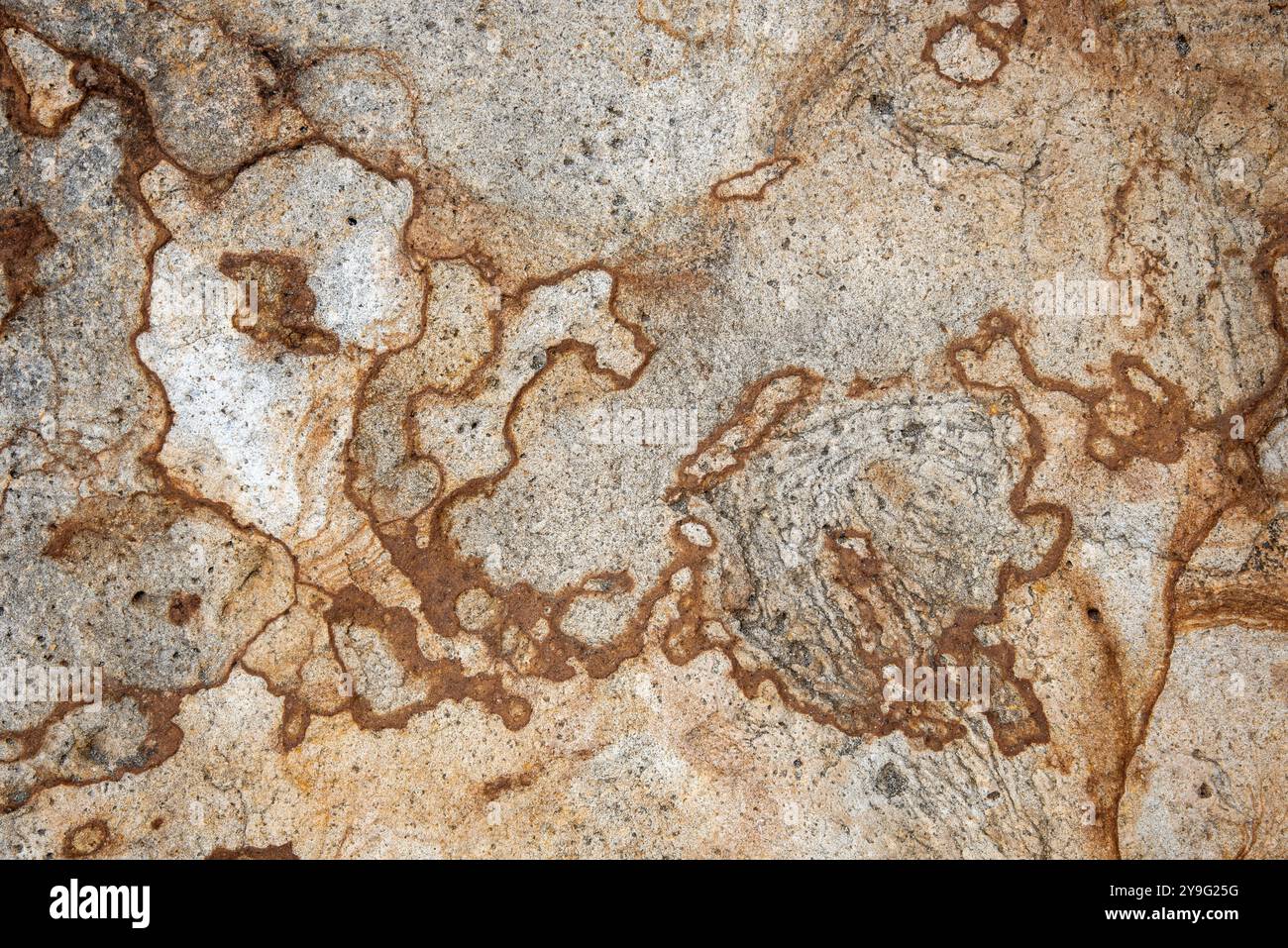 Rock detail at Harris Beach State Park on the southern Oregon coast ...