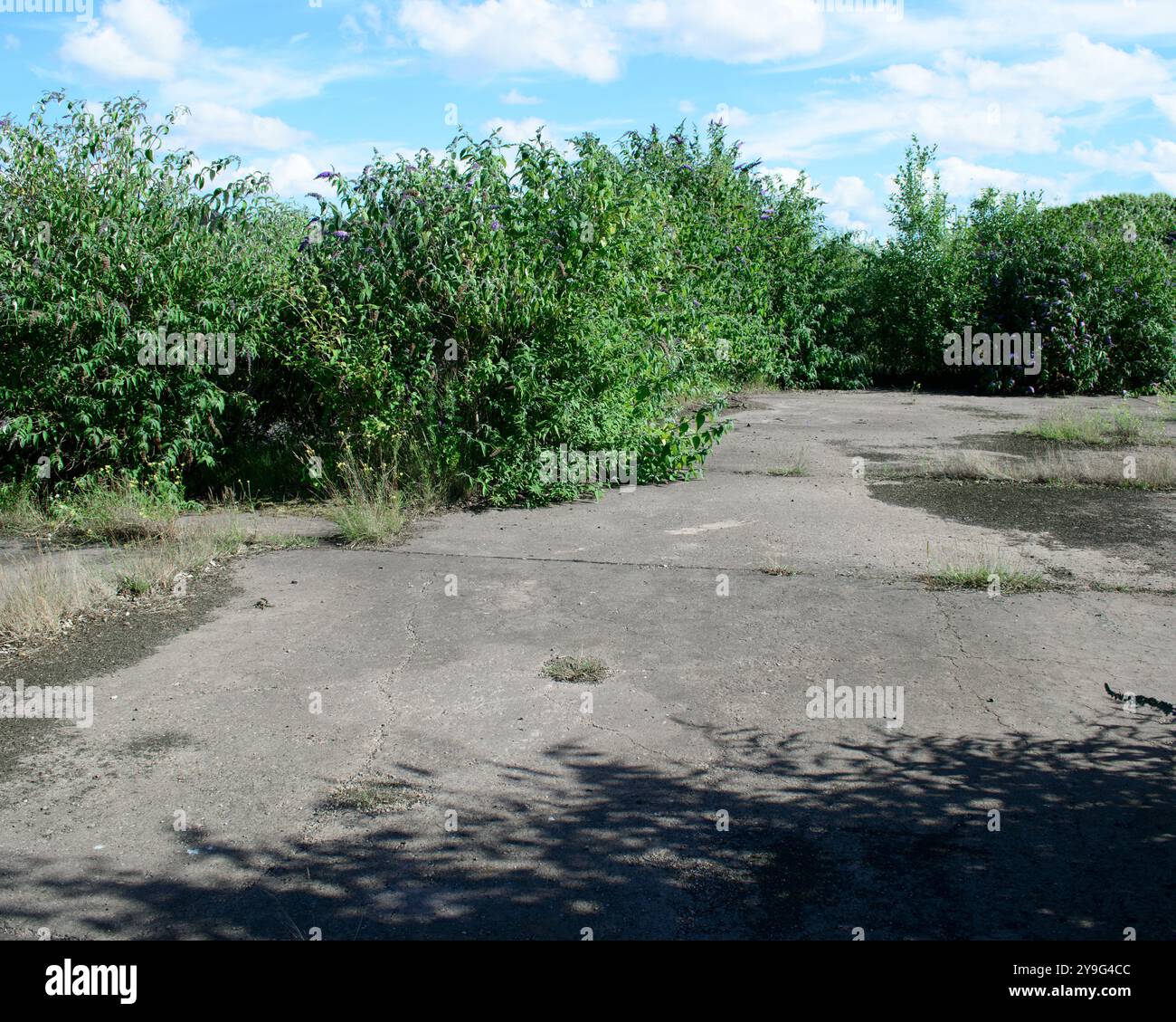 Derelict site of former engineering and steel processing complex in the ...