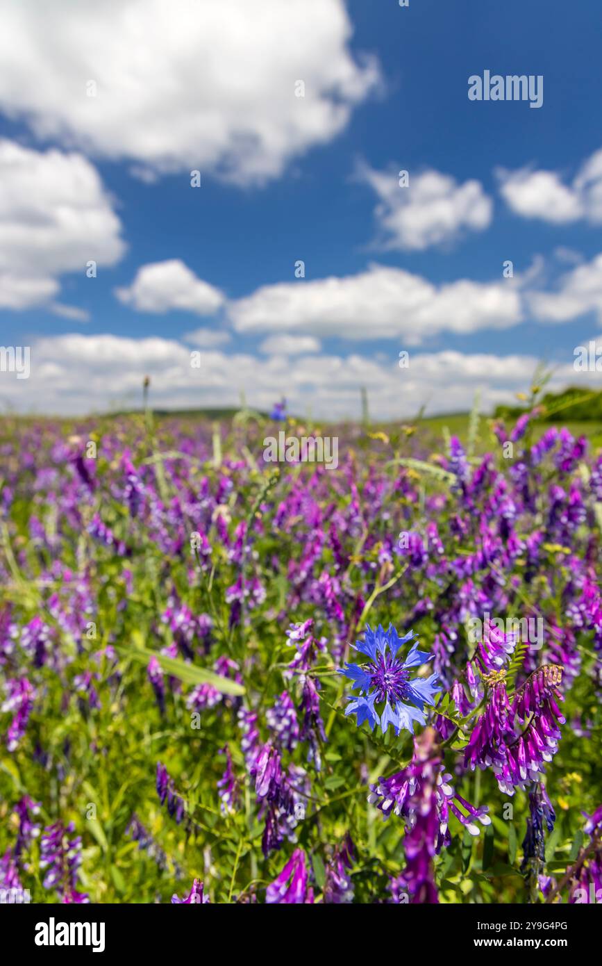 Spring landscape in White Carpathians, Southern Moravia, Czech Republic ...