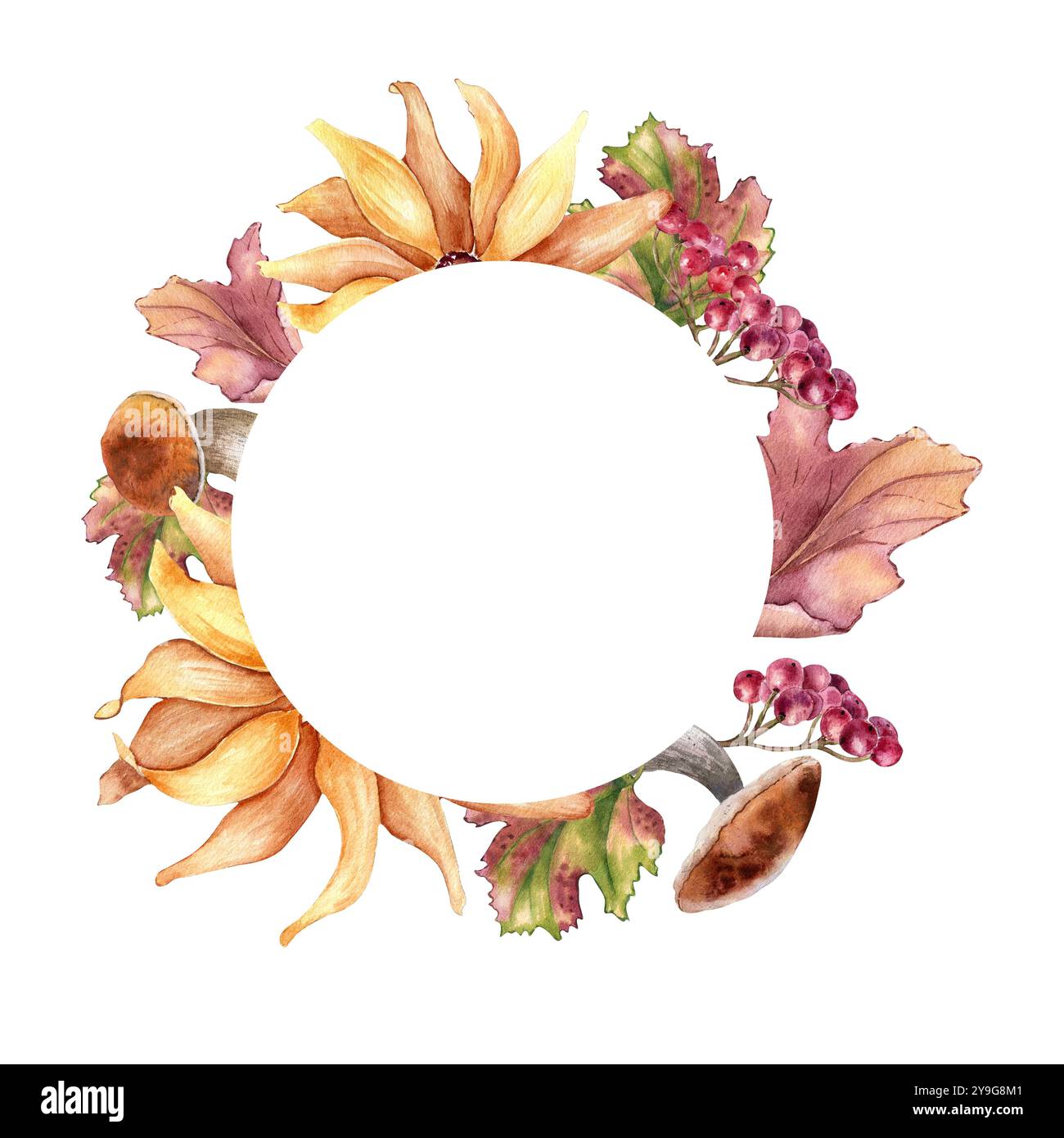 Autumn floral frame of watercolor sunflower, mushrooms and red berries ...