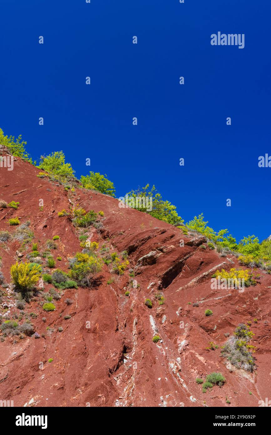 Gorges Du Daluis Regional Nature Reserve, Var river, Alpes-Maritimes ...