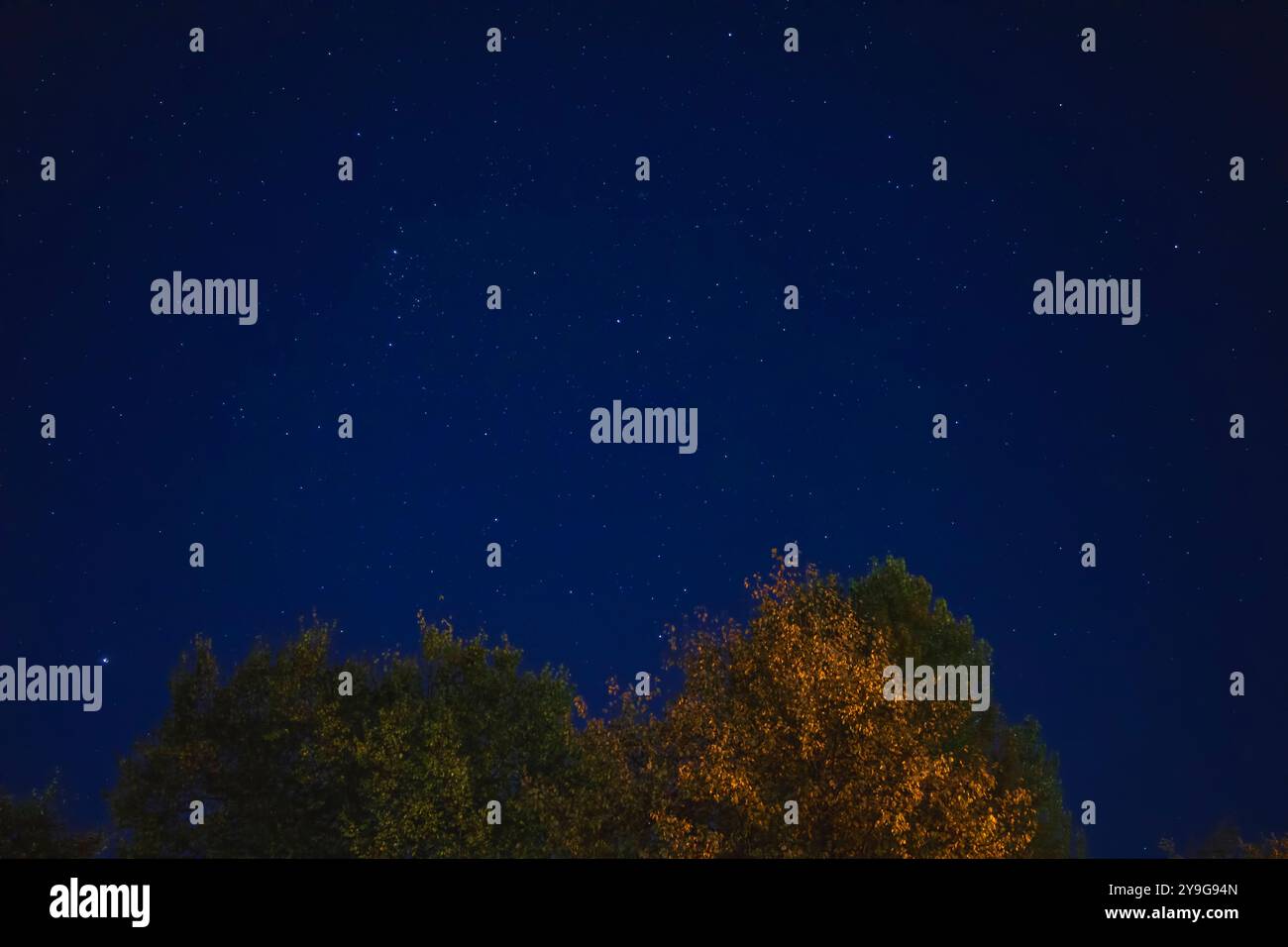 Northern Hemisphere Night Sky Photography Stock Photo - Alamy