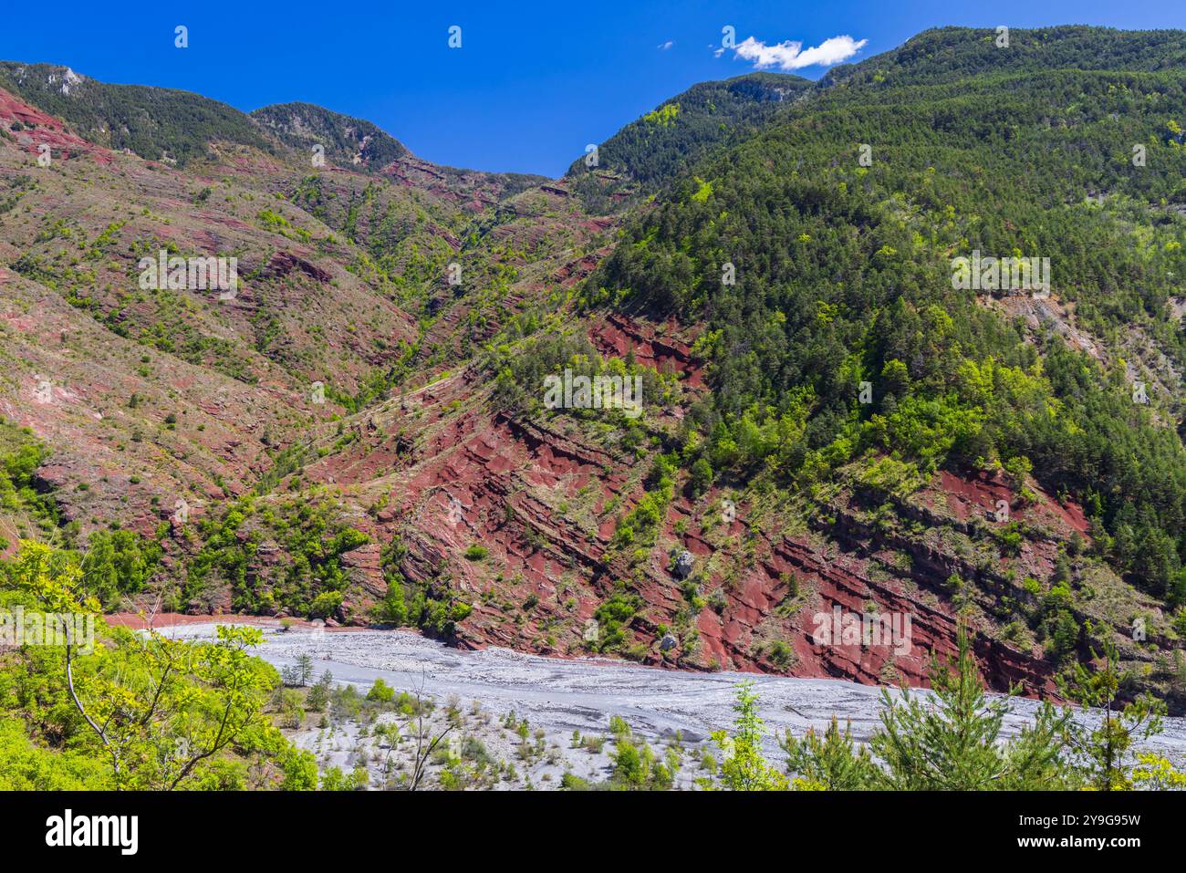Gorges Du Daluis Regional Nature Reserve, Var river, Alpes-Maritimes ...