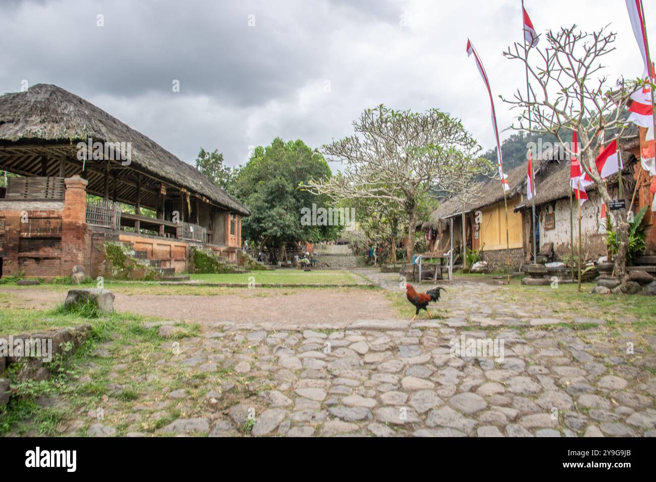 A traditional village with brightly colored chickens. Historic ...