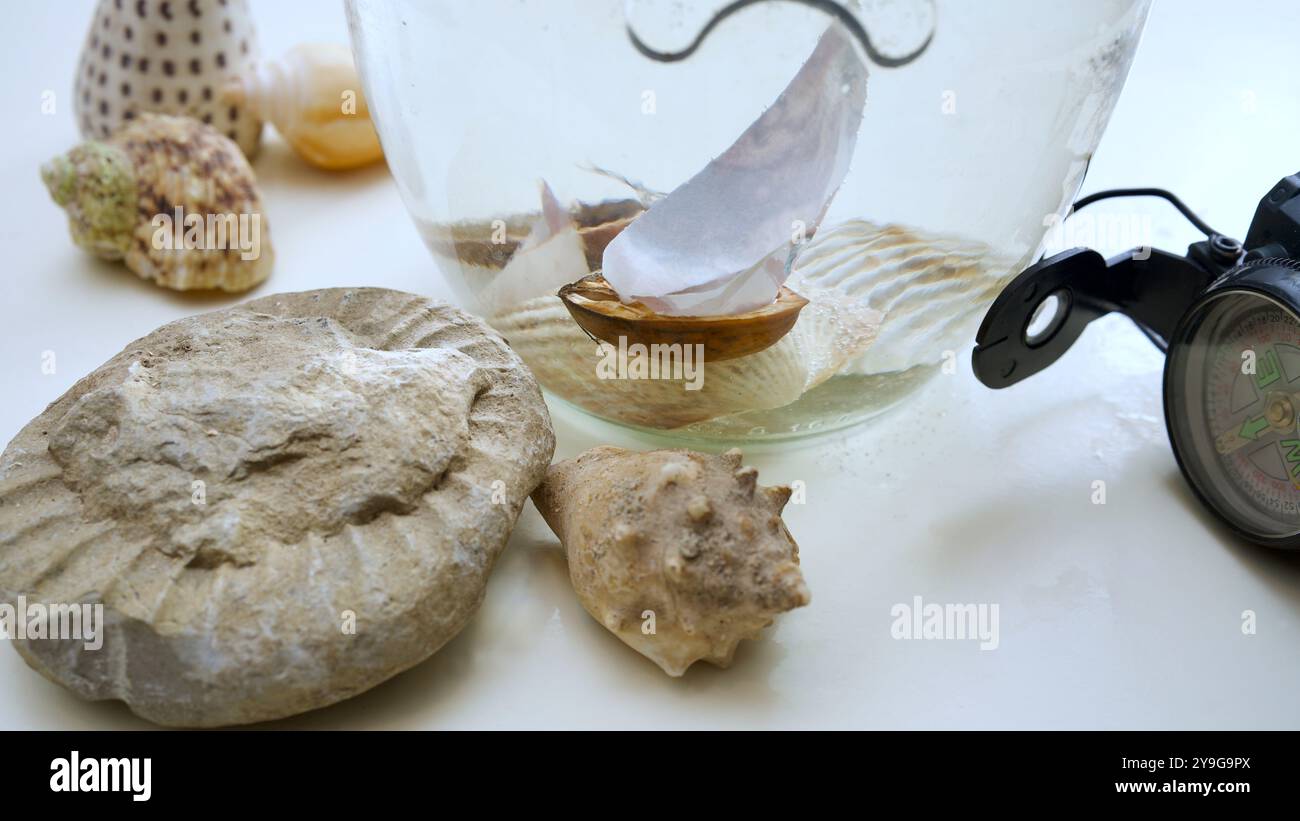 A walnut boat on the bottom of a jar. Seashells, fossils, a compass ...