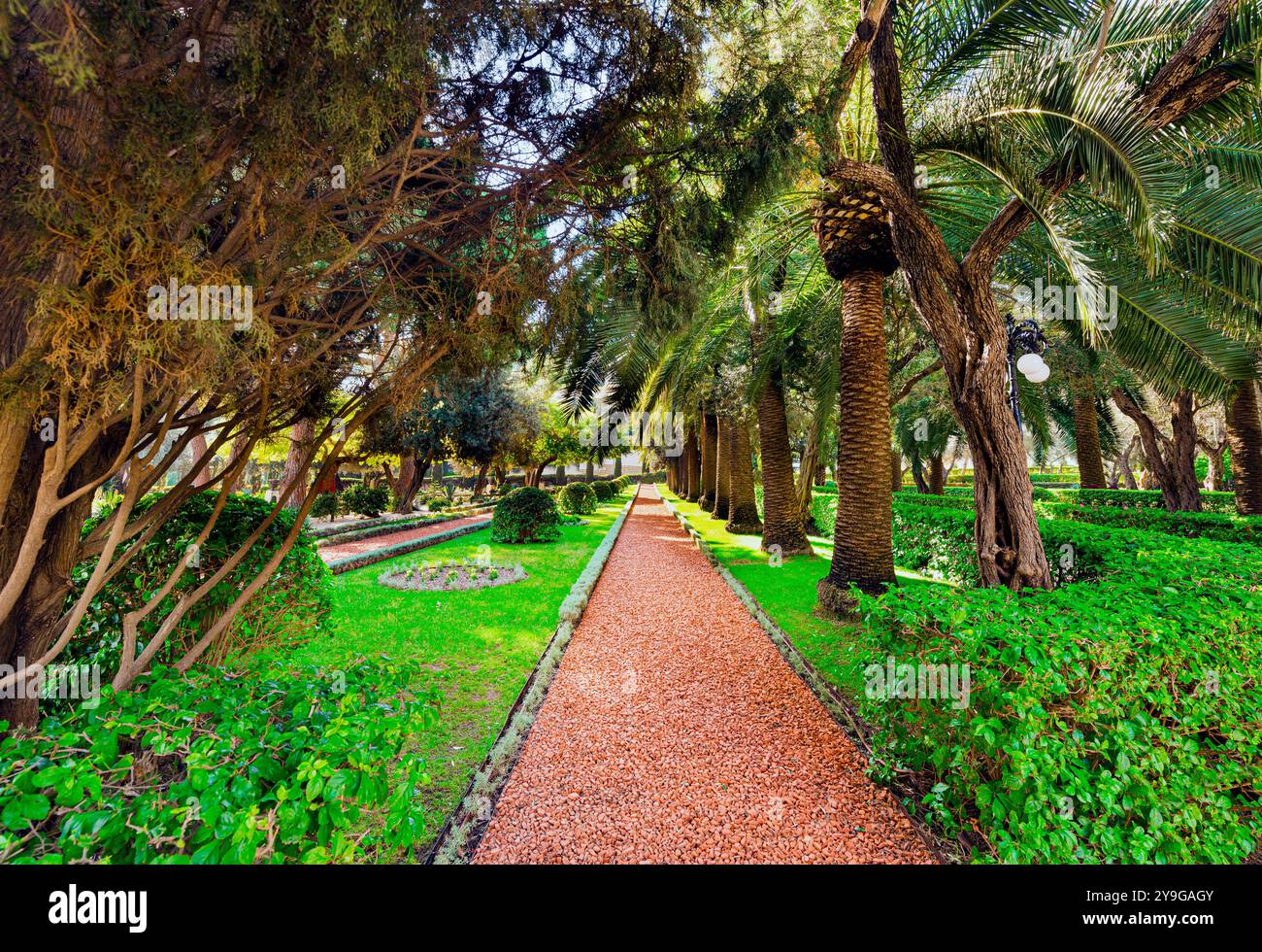 Palm trees in the Bahai Gardens at Mount Carmel in Haifa, Israel ...