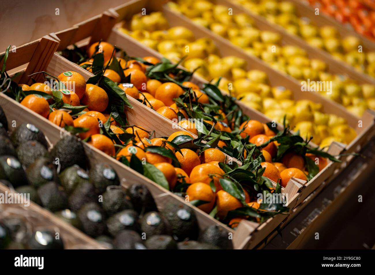 A detail of some fruits displayed during the 16th edition of the ...