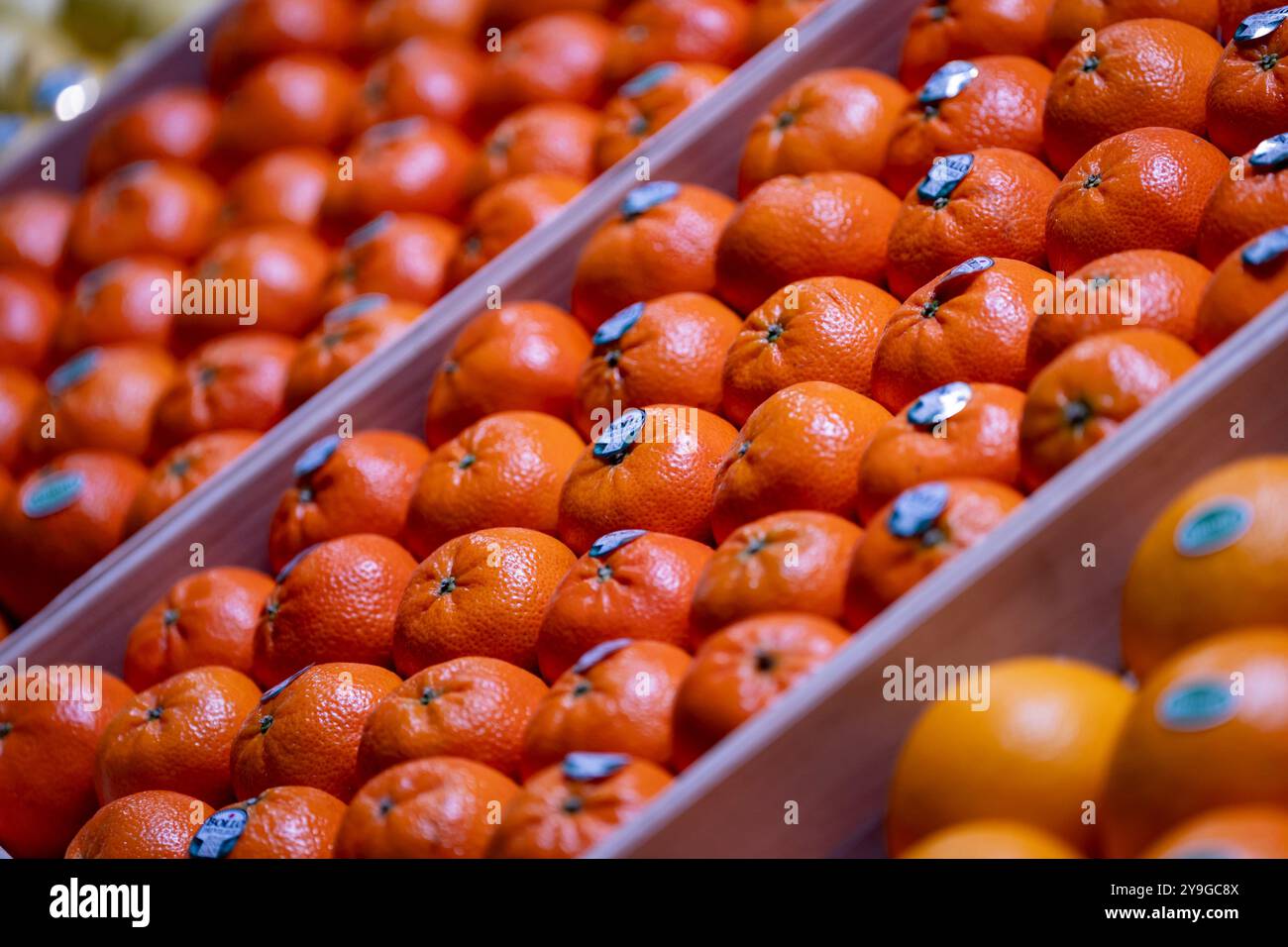 View of some fruits displayed during the 16th edition of the ...