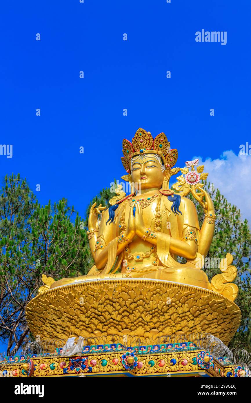Statues of gods in Nepal. Nepali religious sacred place in a temple in ...