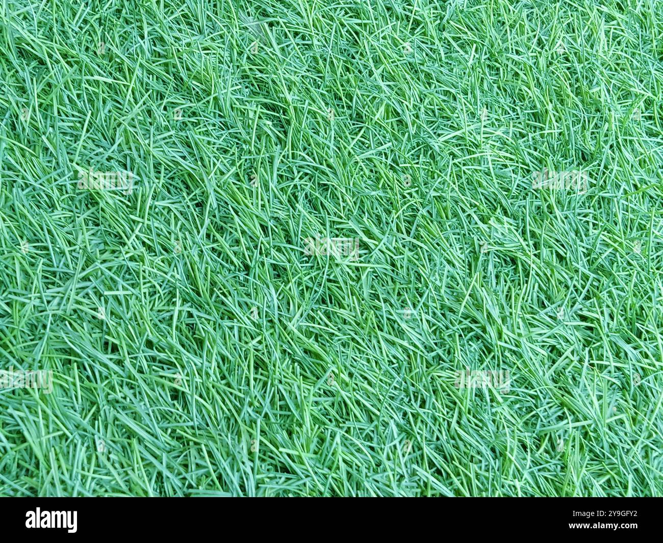 Mid autumn night japan hi-res stock photography and images - Alamy