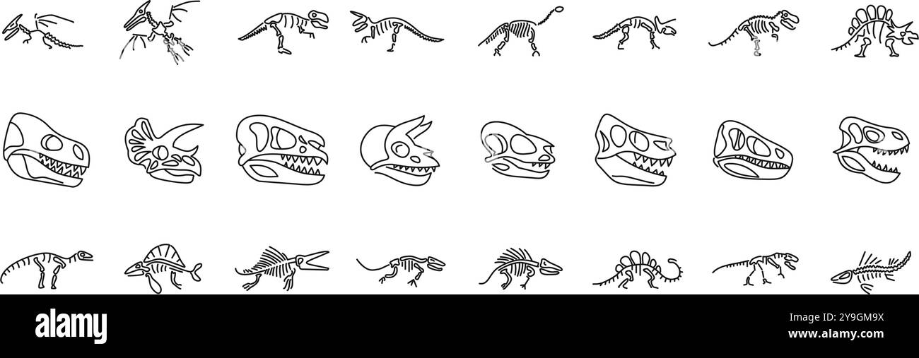 Dinosaur skeleton icons set. Dinosaur skeleton poses in different ...