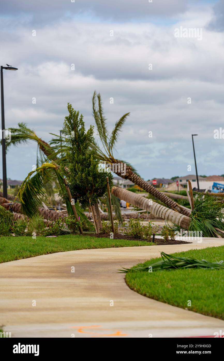 Trees fallen from tornadoes caused by Hurricane Milton Palm Beach ...