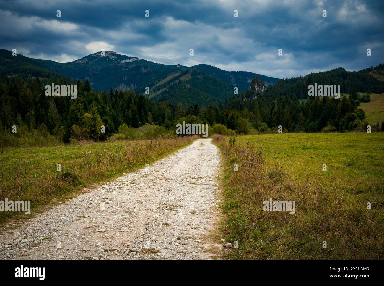 nature background bright path through the landscape to the rocks Stock ...