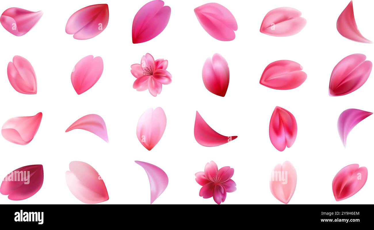Set of different realistic flowers of sakura flower petals Stock Vector ...