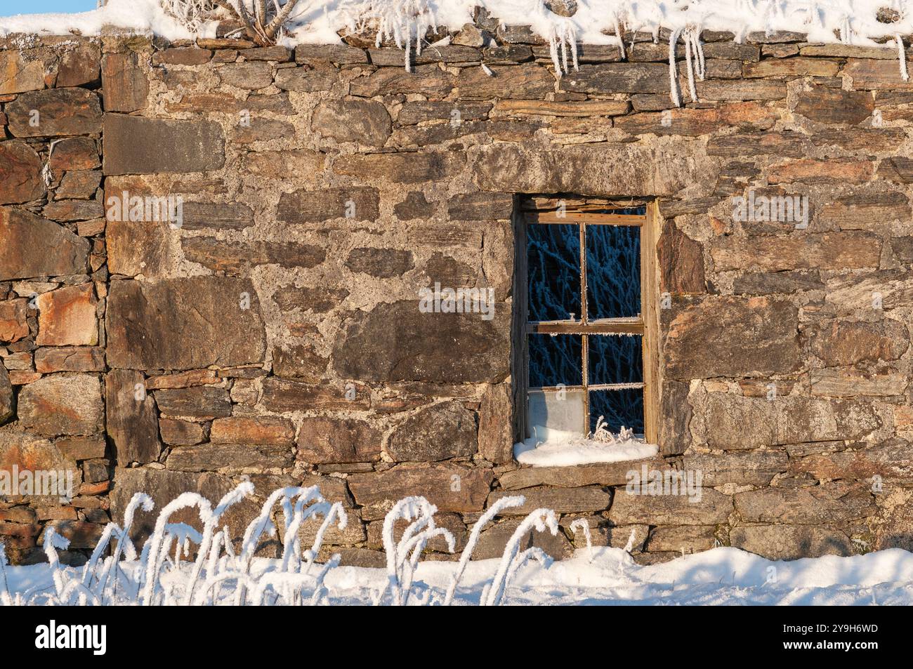 Window and wall of a derelict croft house in the snow on the Isle of ...