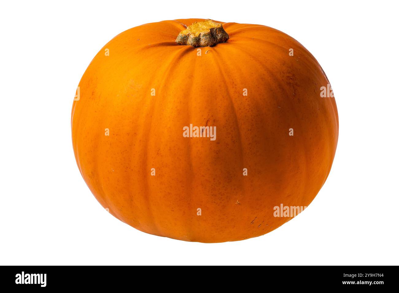 Macro view of orange pumpkin isolated on white background Stock Photo ...