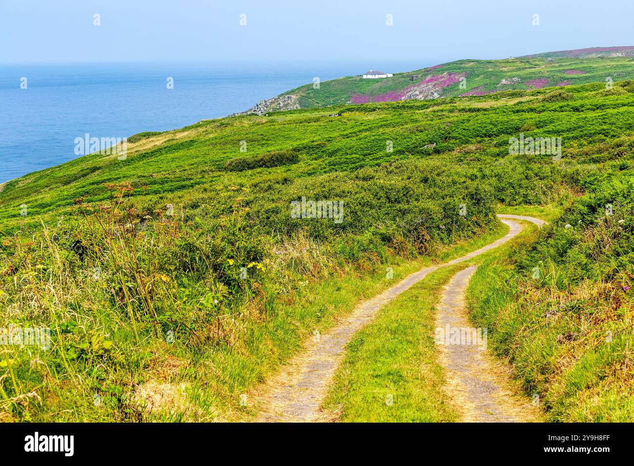 Coastal path near Treen village, Zennor, Penwith Peninsula, Cornwall ...