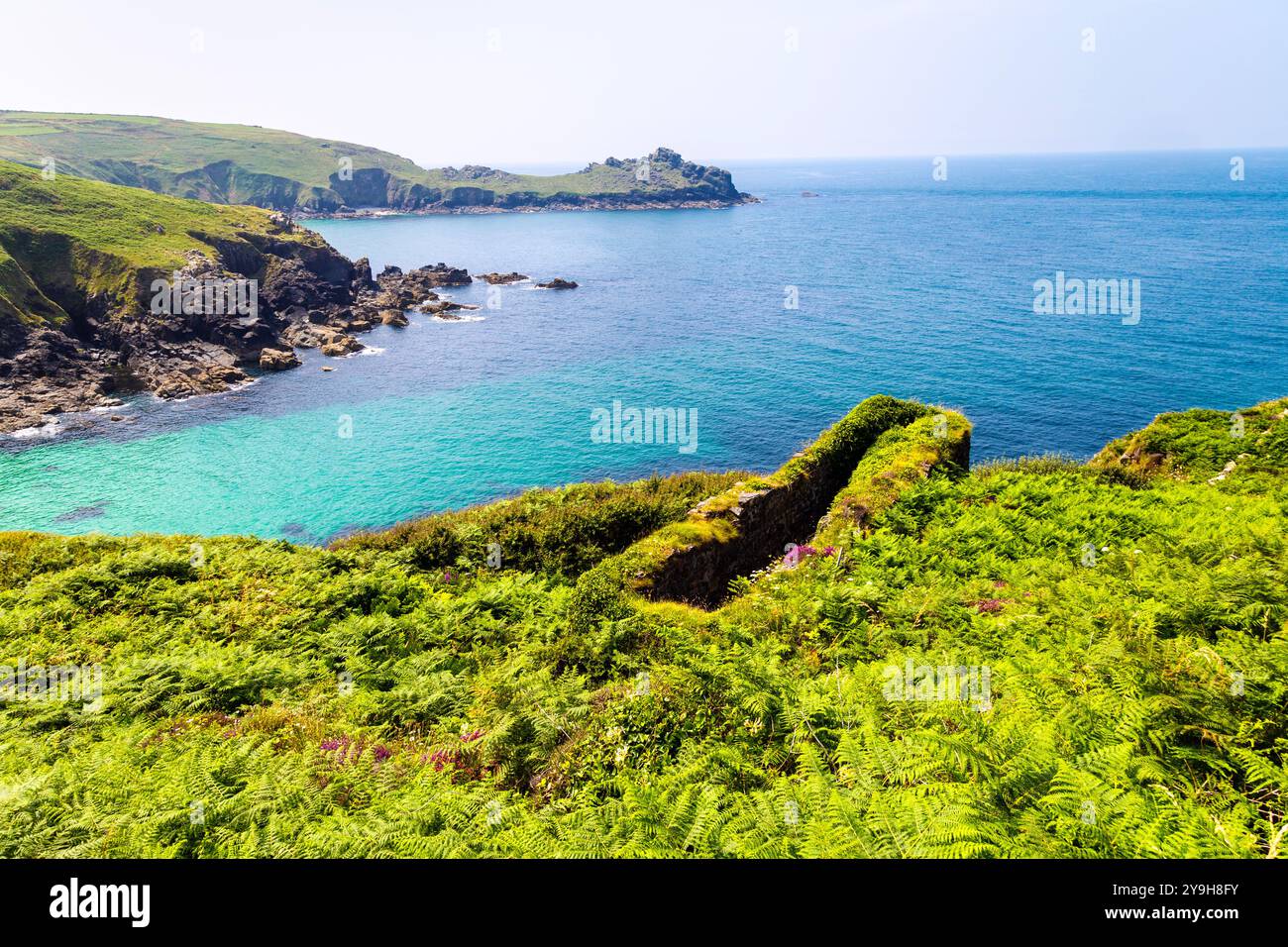Mine ruins at Carnelloe Headland overlooking Porthglaze Cove (Gurnards ...