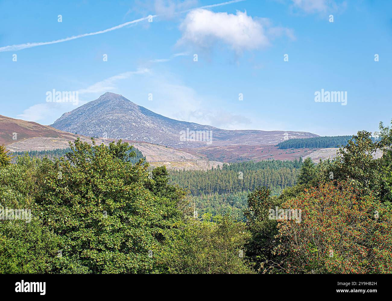 Landscape photography of mountain Goatfell and forest on Isle of Arran ...