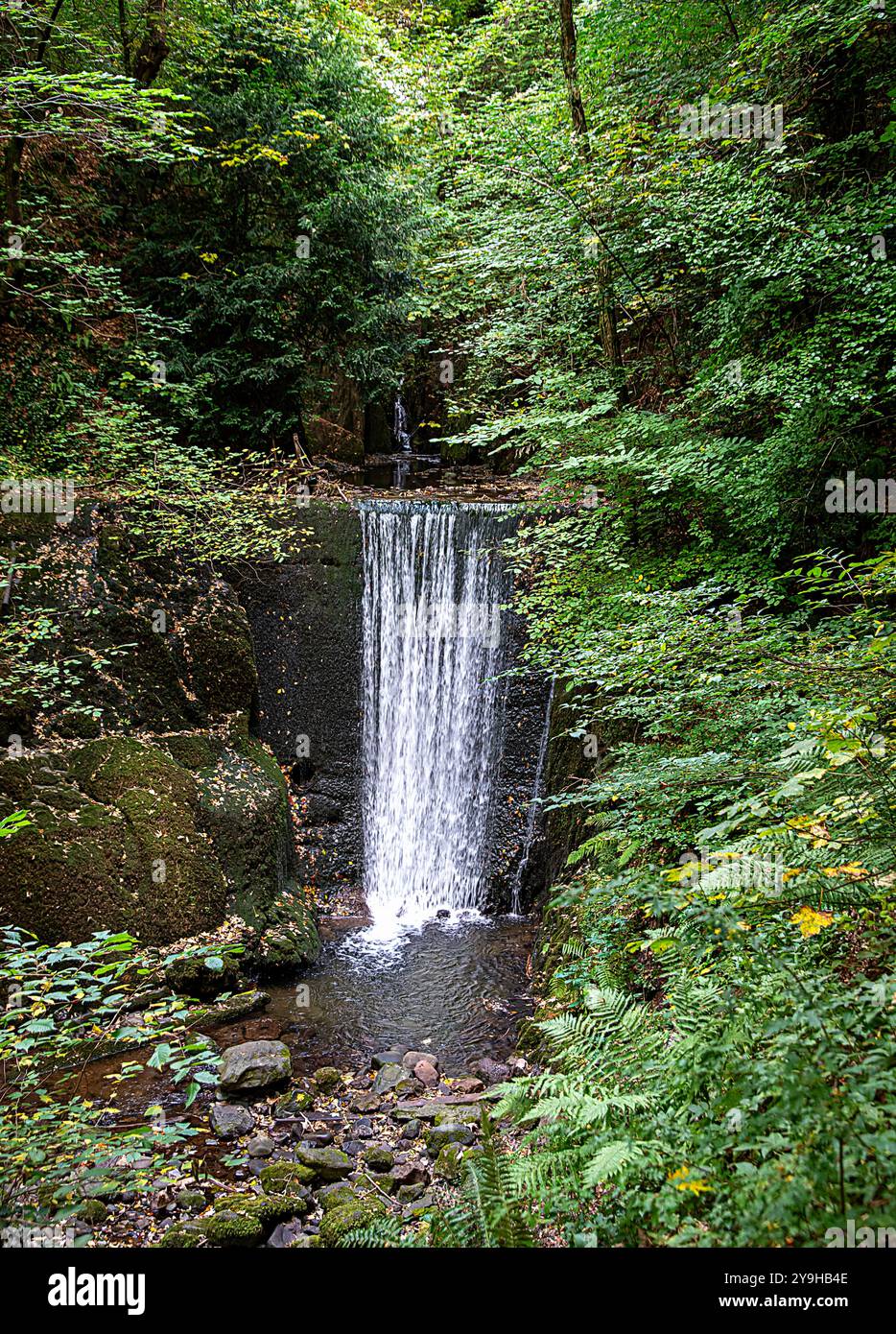Landscape photography of waterfall in Alva glen, Scotland, forest ...