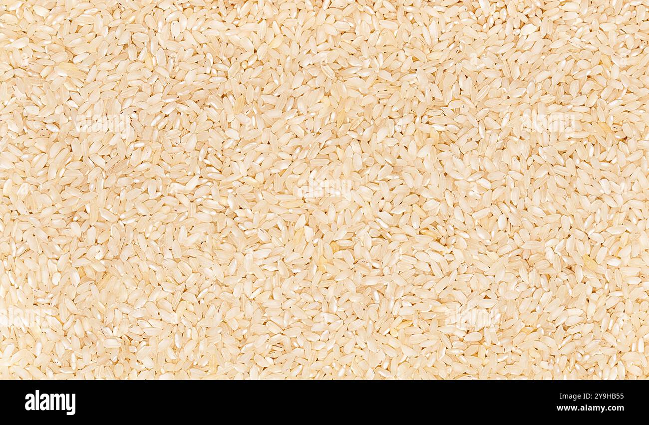 Macro photography of raw paella rice, cereal; grain, healthy food ...