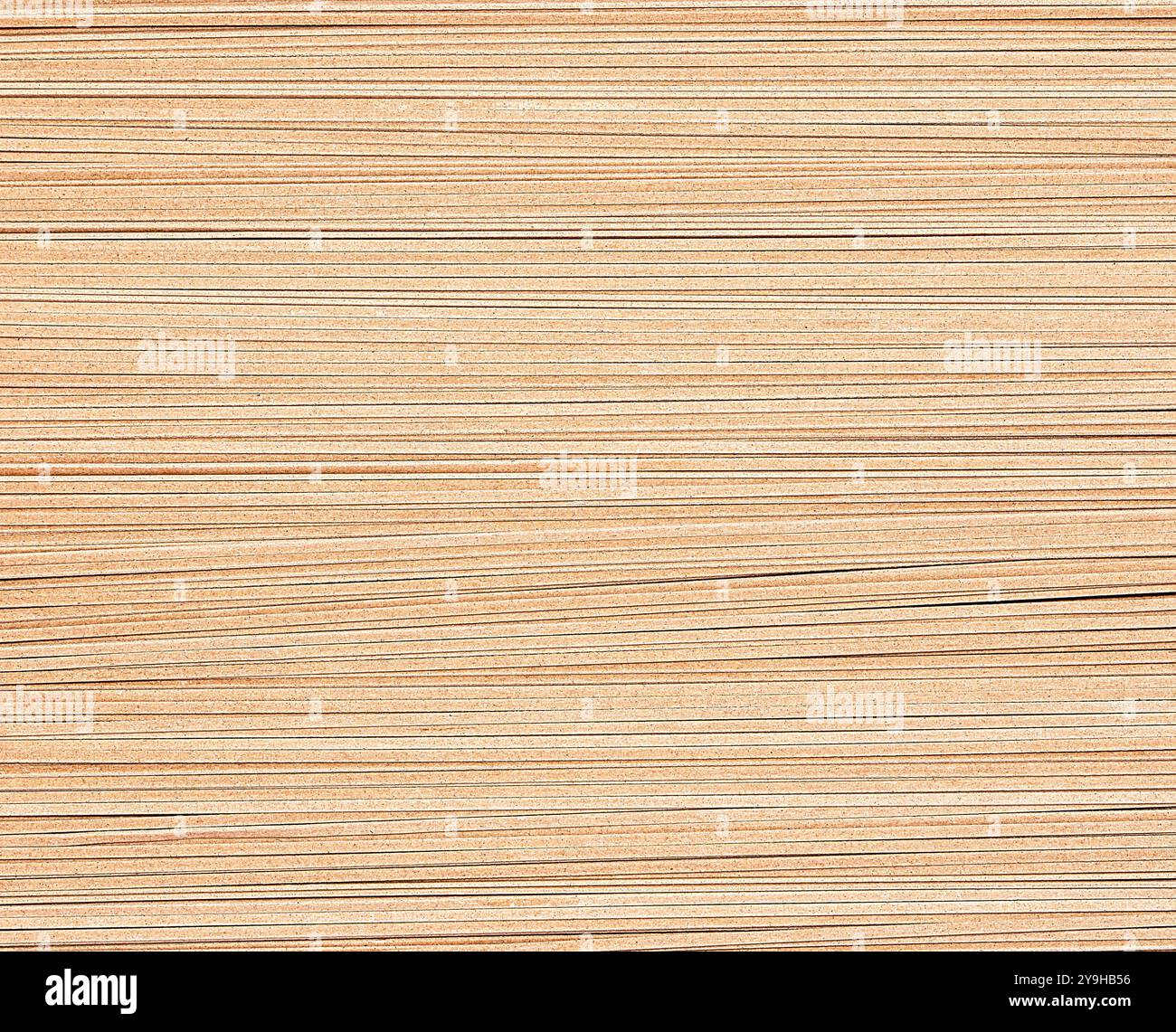 Macro photography of raw soba, buckwheat noodles; Japanese dish; ashen ...