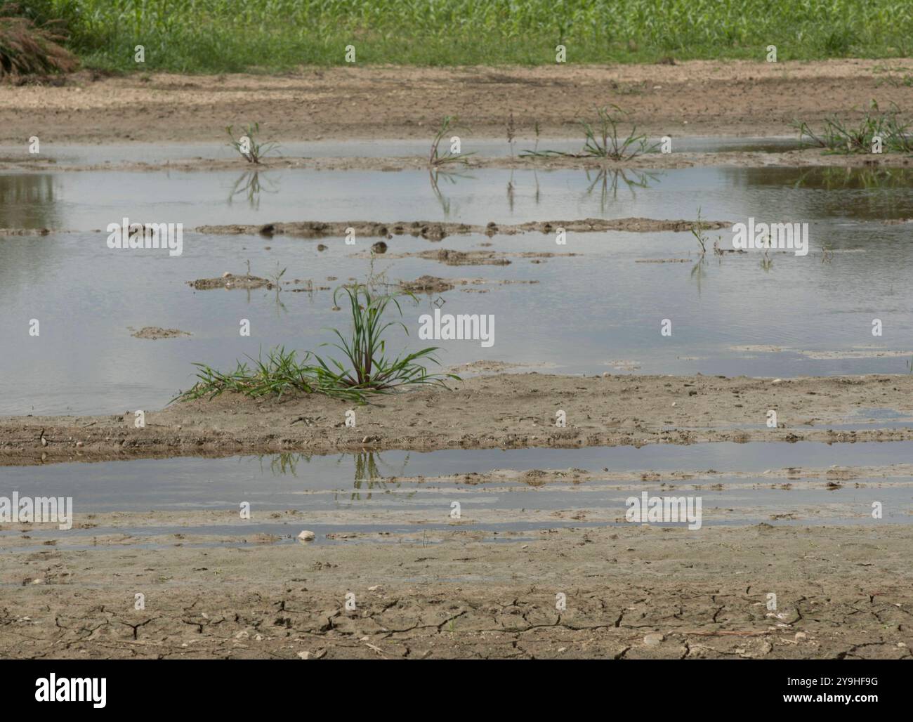 water damage on the field after heavy rainfalls in agriculture water ...