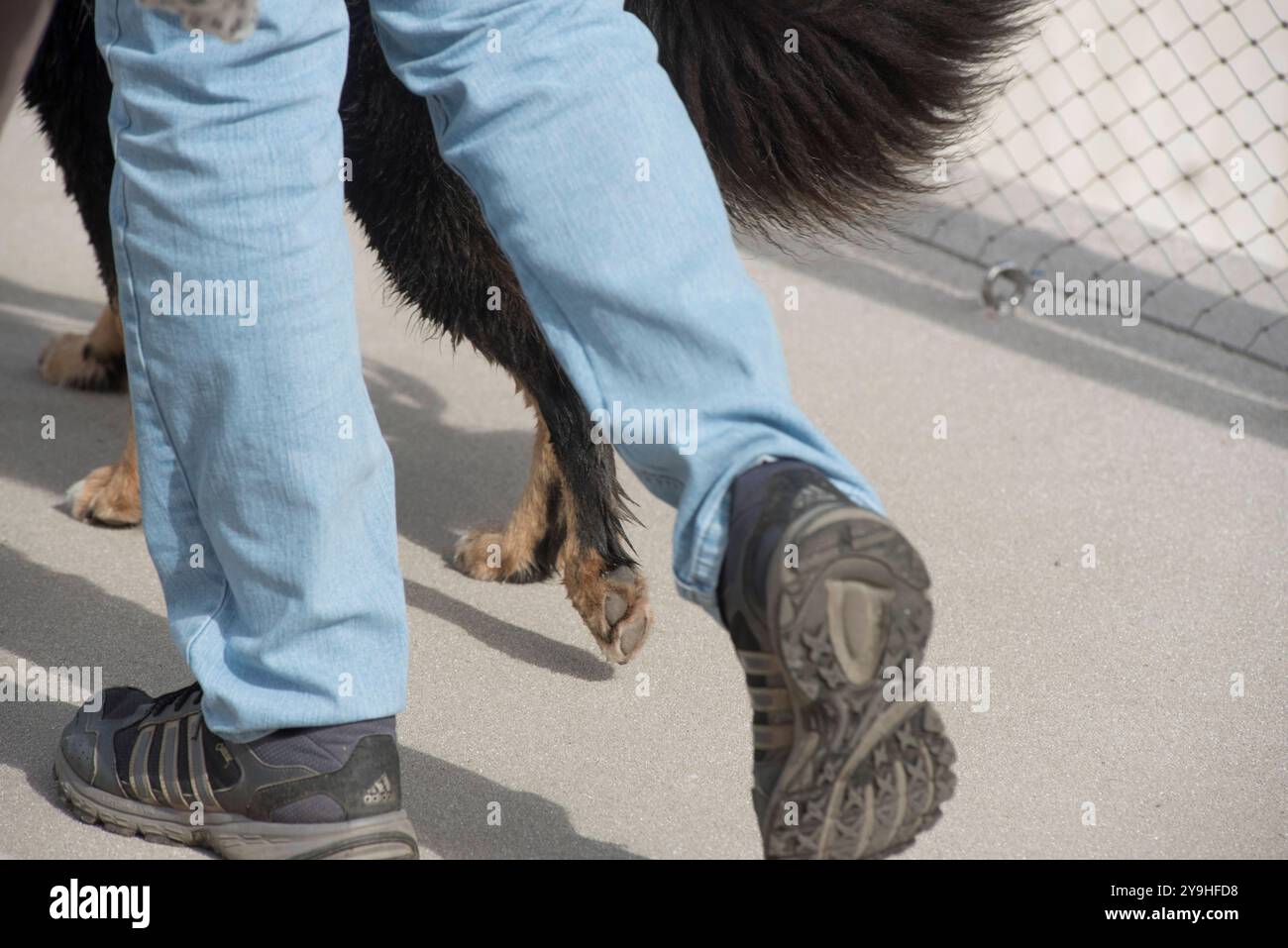 there was always a strong bond between animals and humans a strong bond ...