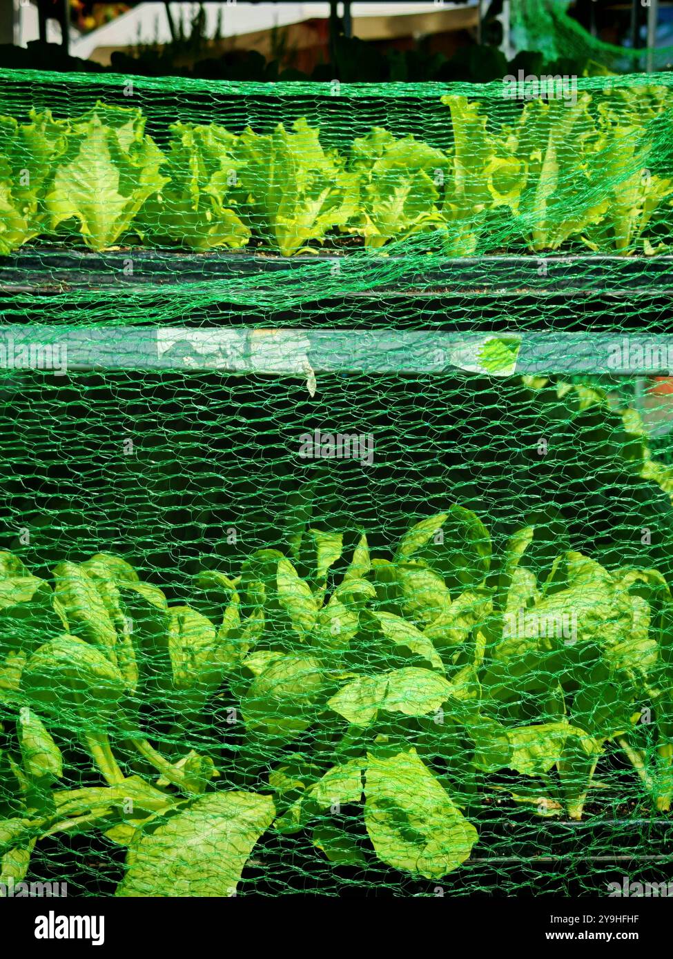 Logistics in crop production and plant cultivation, transport of ...