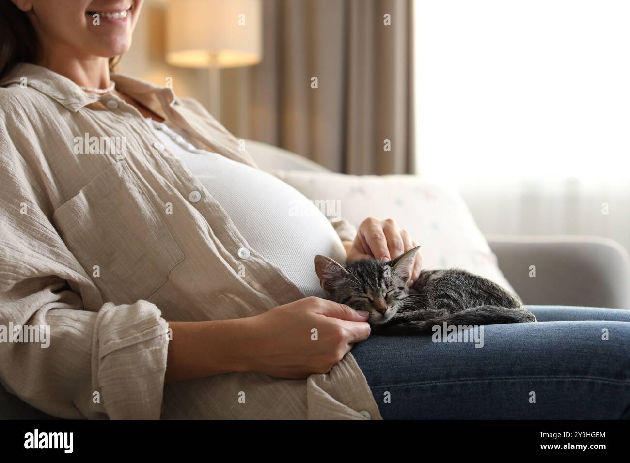 Sleeping pregnant cat hi-res stock photography and images - Alamy