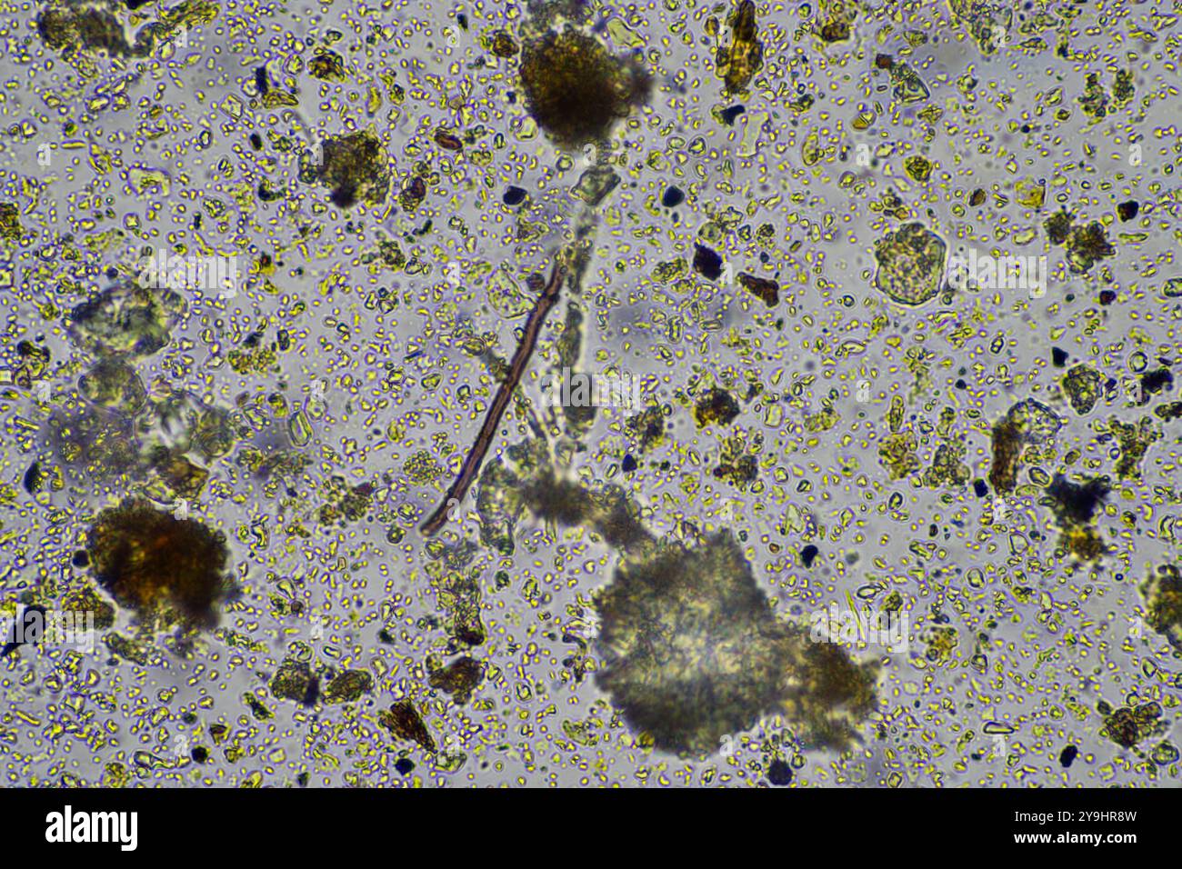 microorganisms and soil biology, with nematodes and fungi under the ...
