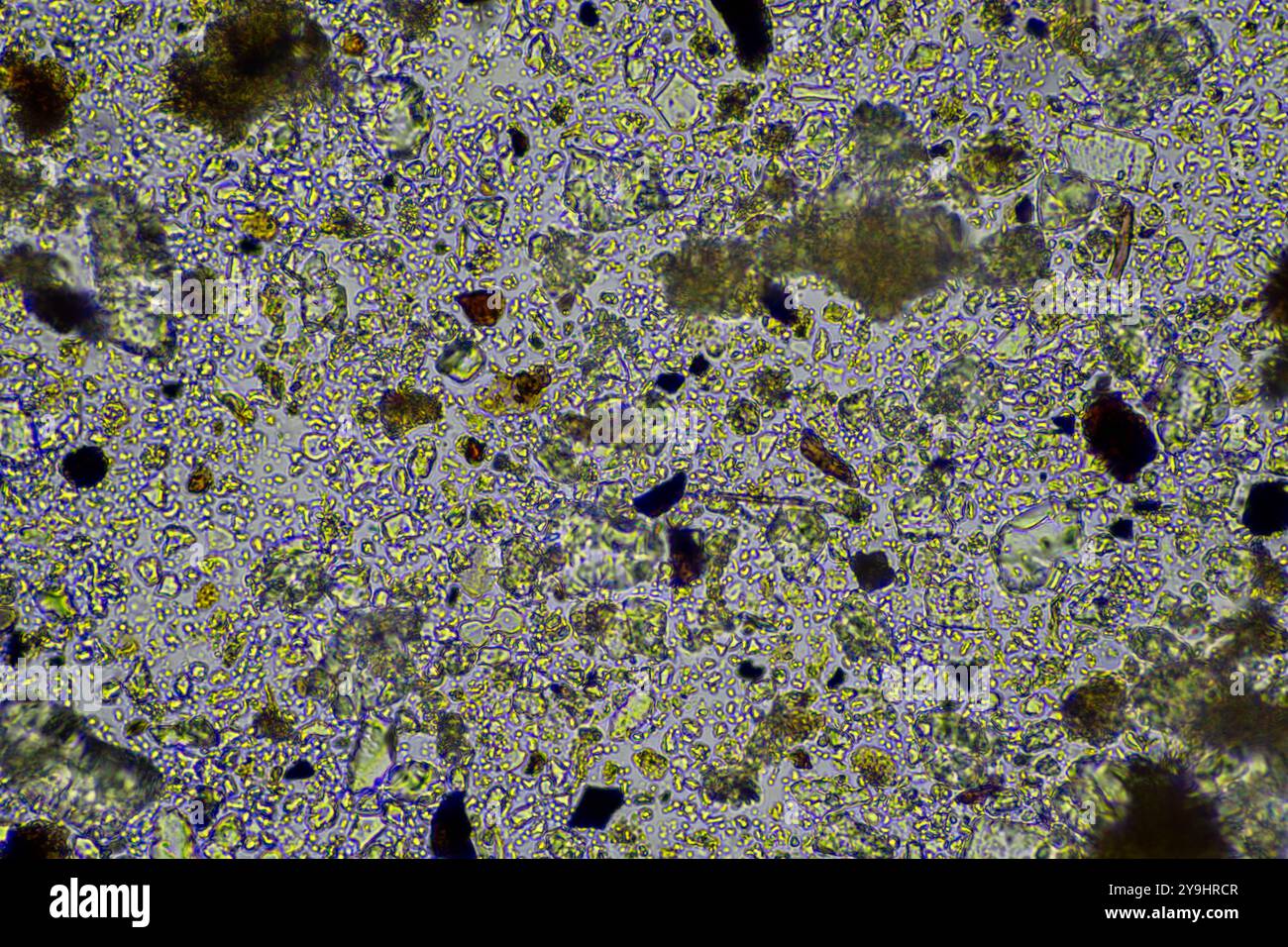 microorganisms and soil biology, with nematodes and fungi under the ...