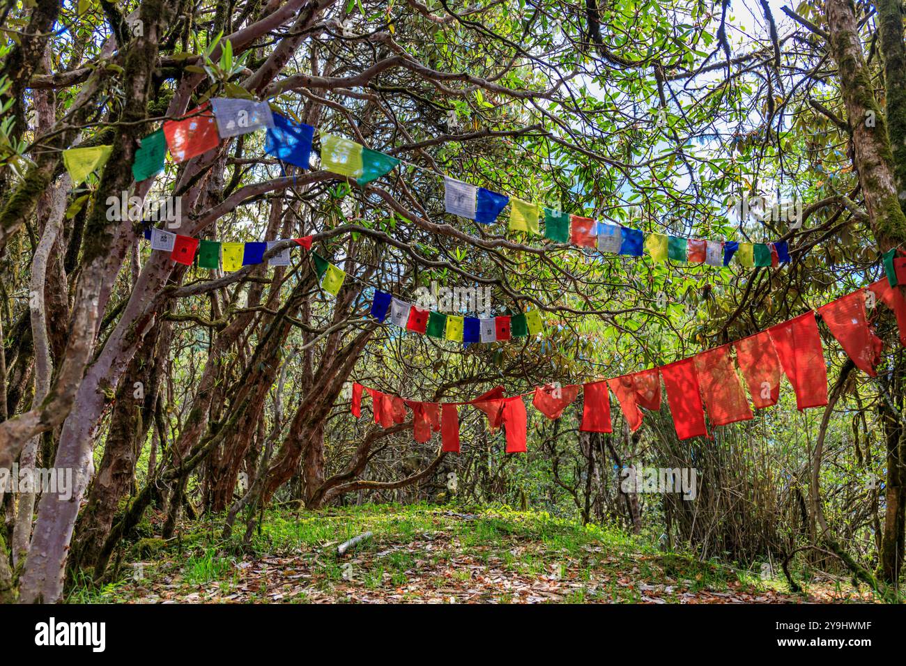 Traditional tibetian prayer flags in Himalaya mountains in Nepal ...